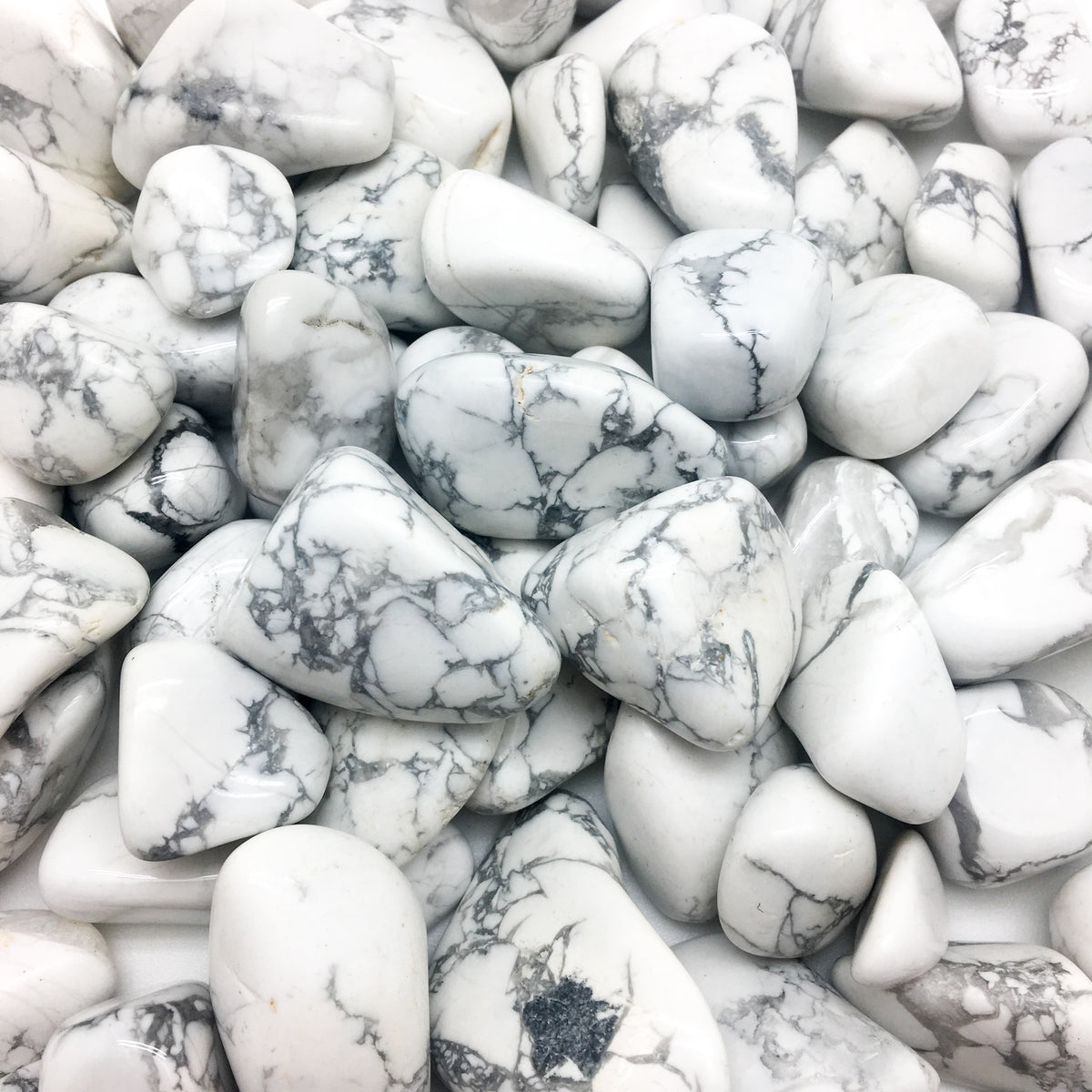 Tumbled Howlite – Nutz